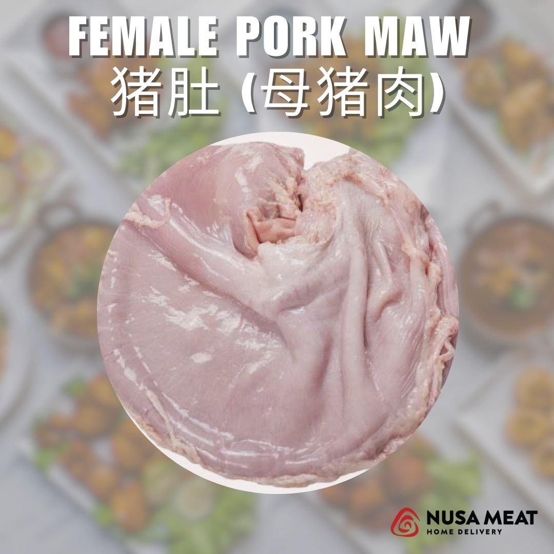 FEMALE PORK MAW 猪肚 (母猪肉) - NUSA MEAT